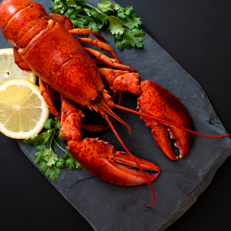 Kogt Sort Hummer | 360 gram - Koedkrogen.dk